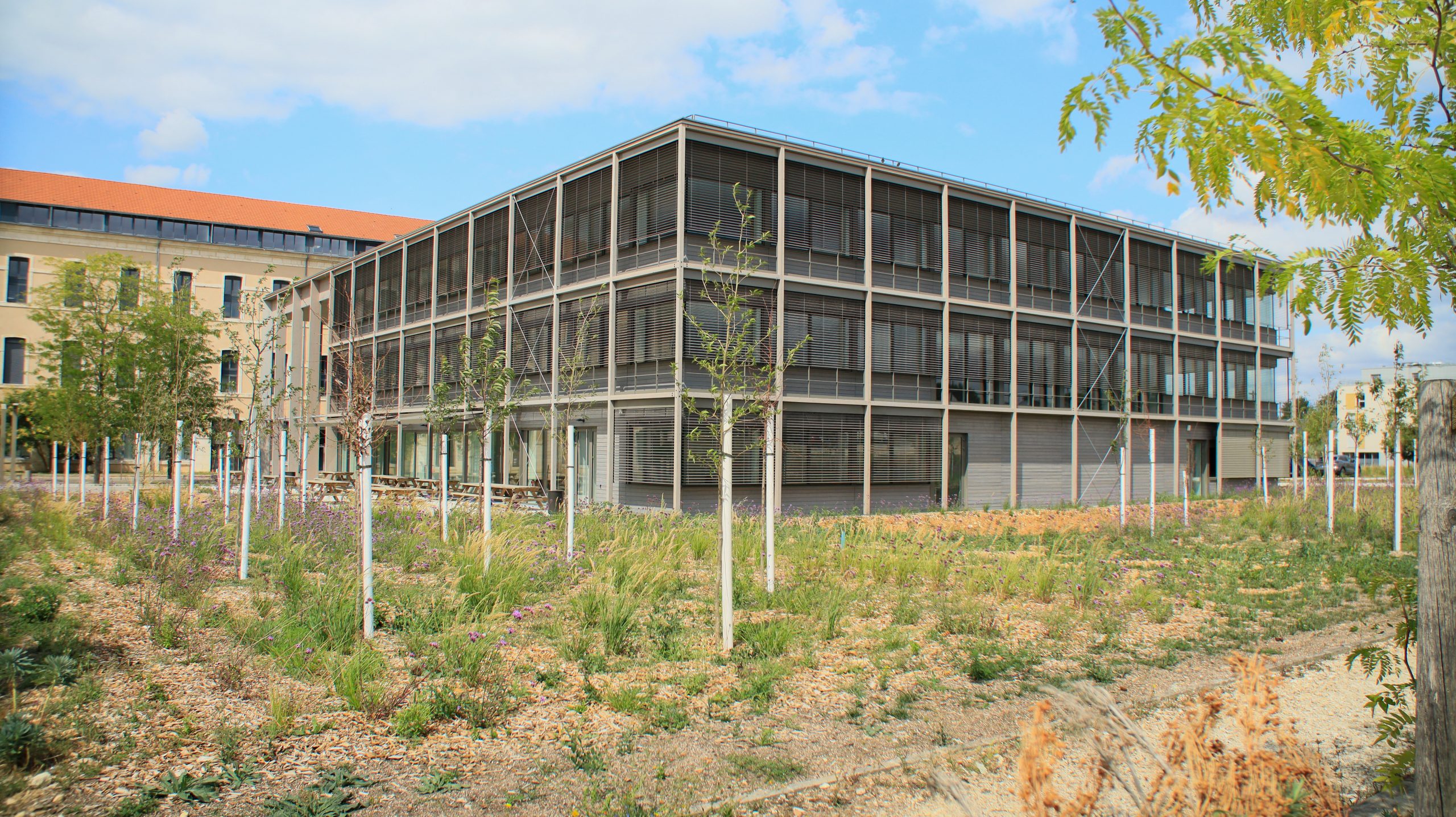 L'école Curien Bourges - CFSA Curien Bourges